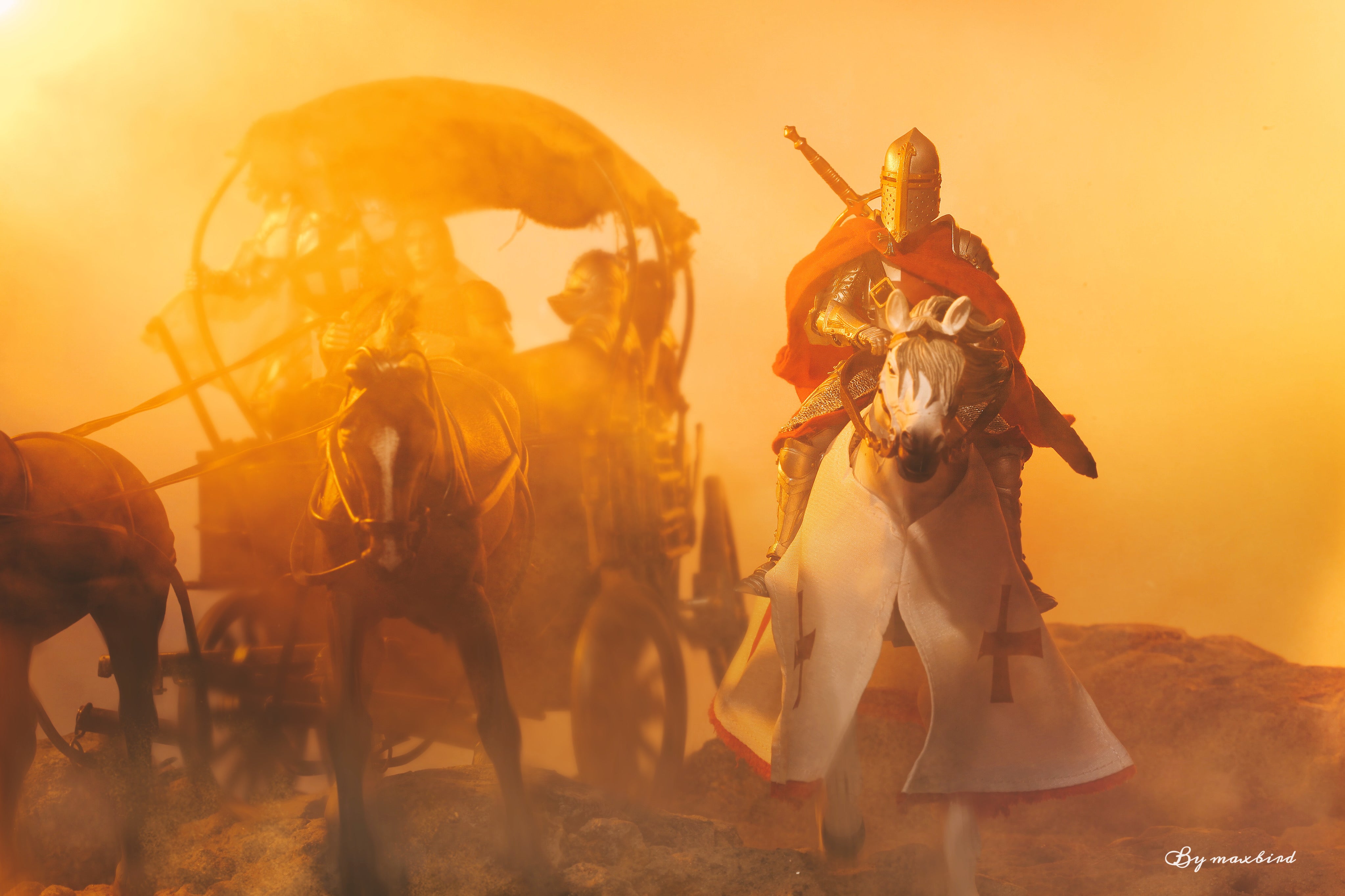 ALL – Page – maxbird